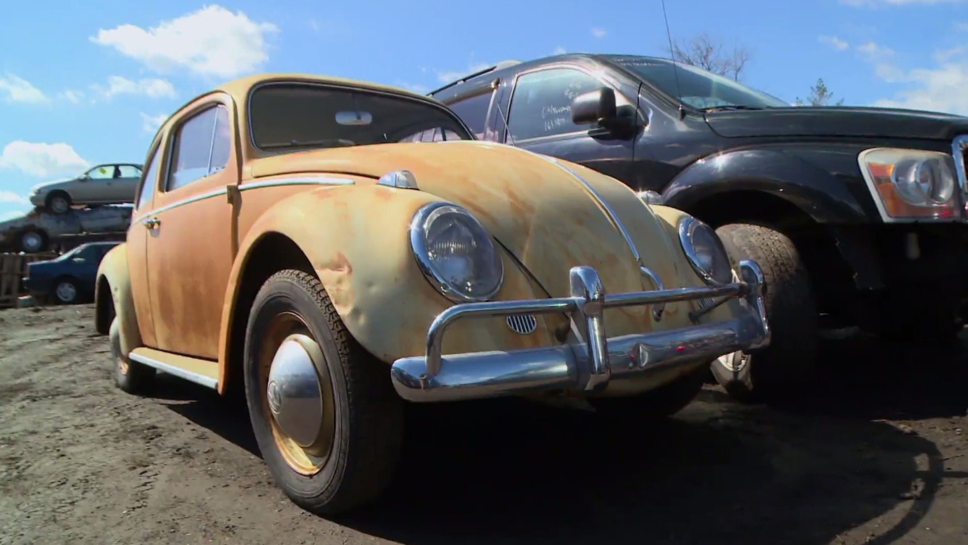 Junkyard Empire: A Pack Rat, a Rat Rod, and a Bug