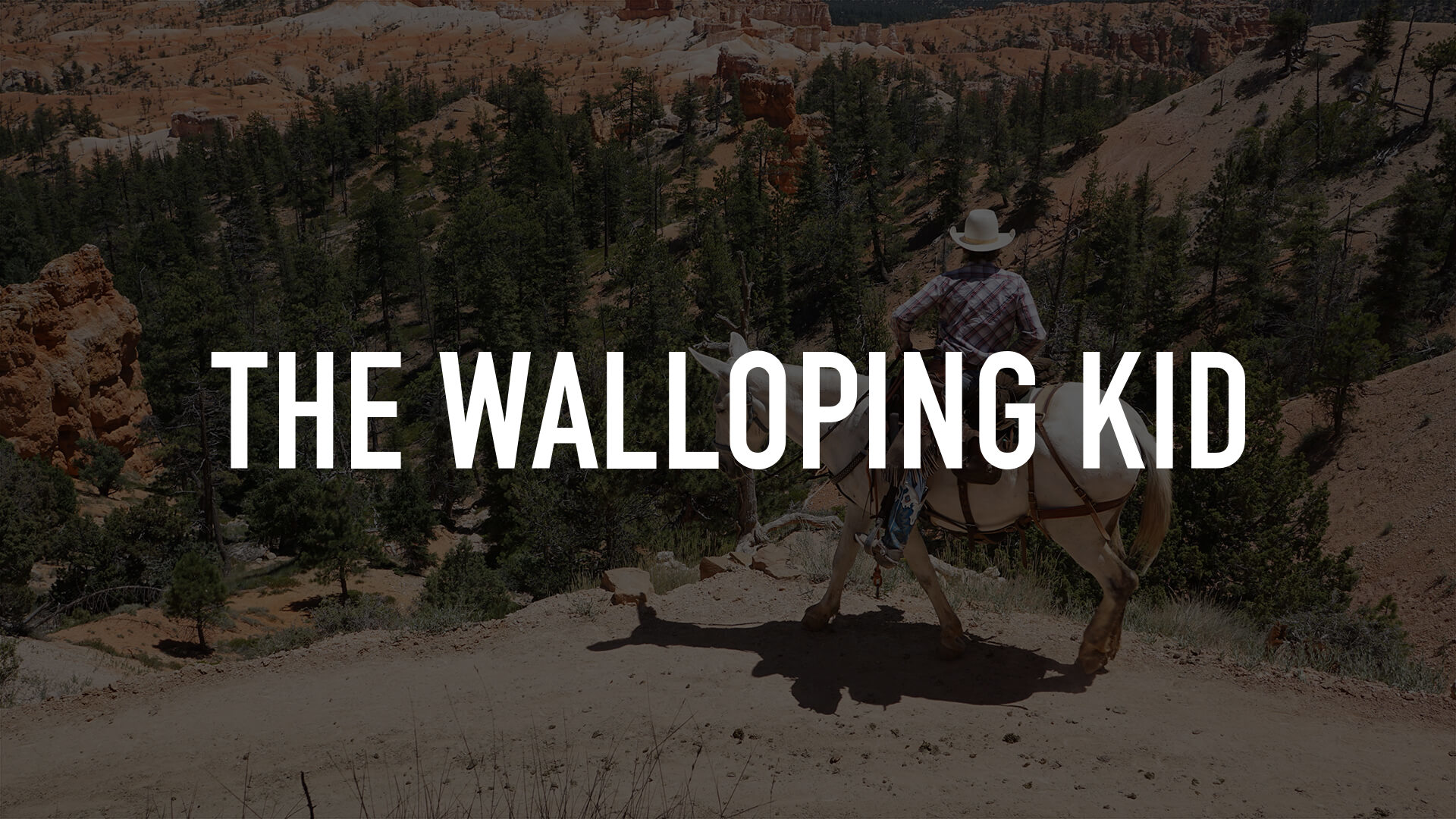 Watch The Walloping Kid Streaming Online on Philo (Free Trial)