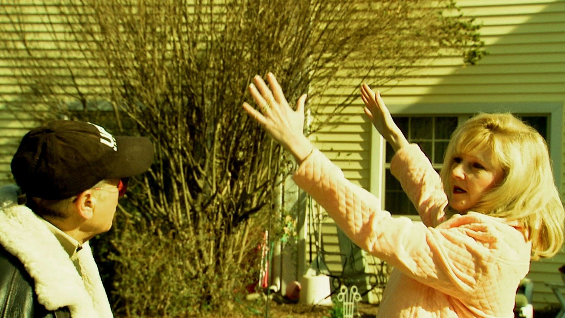 UFO Hunters: UFO Relics