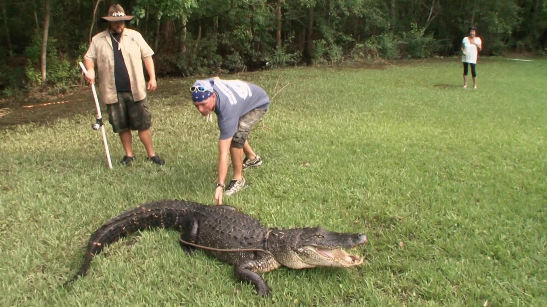 Gator Boys: Gatorzilla